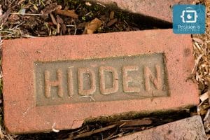 HTML Hidden Input: Applying Hidden Fields in HTML Forms - Position Is Everything