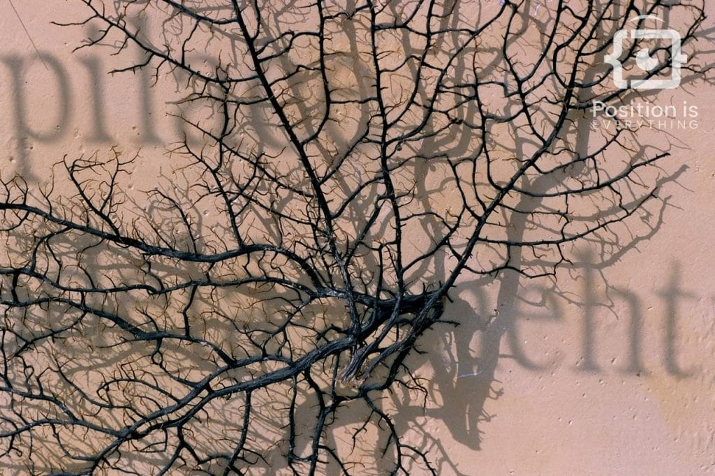 The HTML Hidden Text: Temporarily Hiding the Content in Your Web Page ...