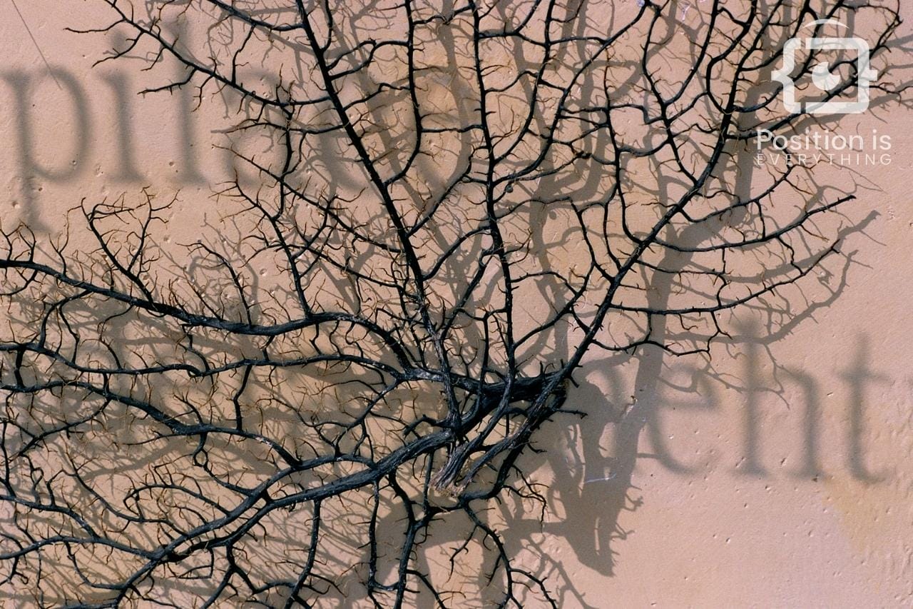 The HTML Hidden Text: Temporarily Hiding the Content in Your Web Page ...