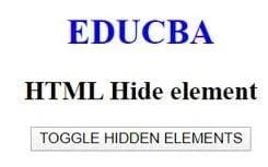 HTML Hide Code: Miraculous Ways To Make Texts and Elements Disappear ...