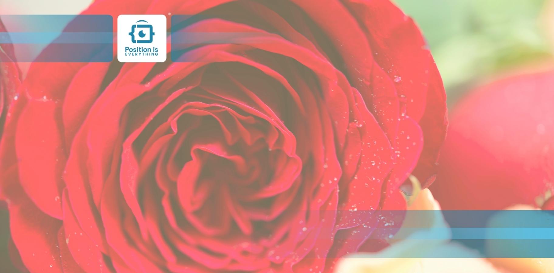 CSS Opacity: Get Creative With the Transparency of Web Page Elements ...